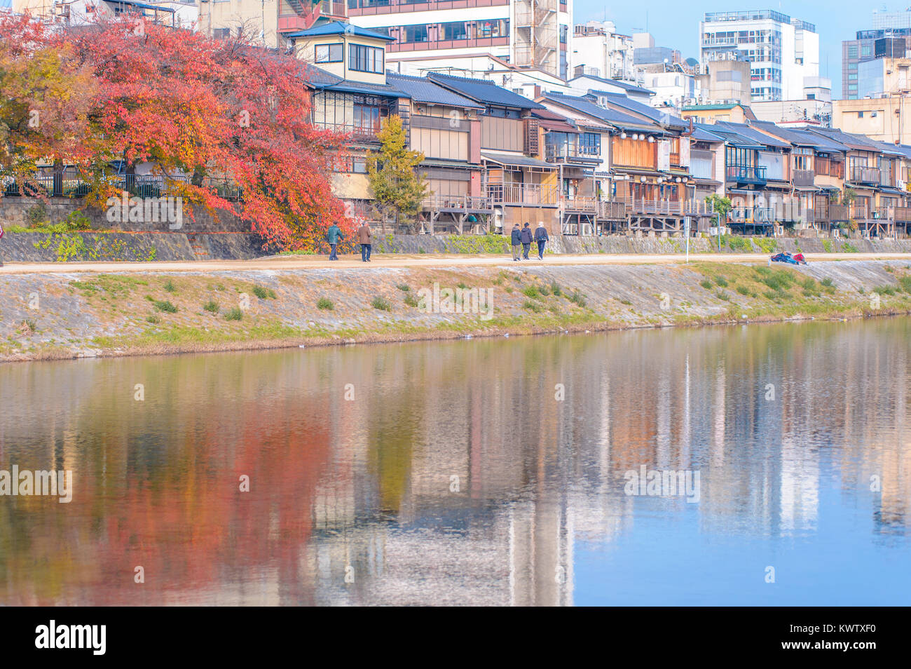 riverside with autumn colored leaves in kyoto Stock Photo - Alamy