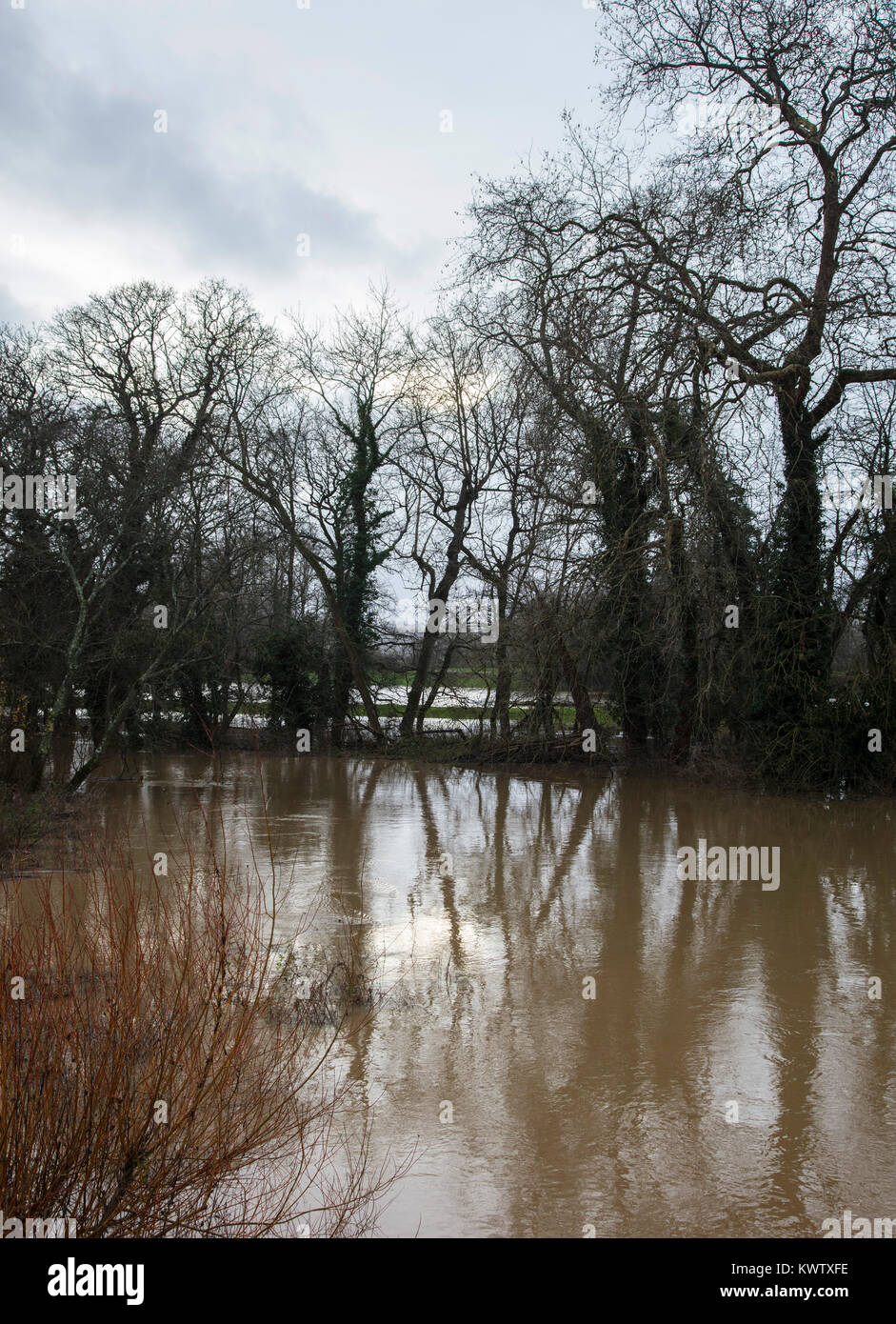 Winter flooding through rain in West Sussex Stock Photo - Alamy