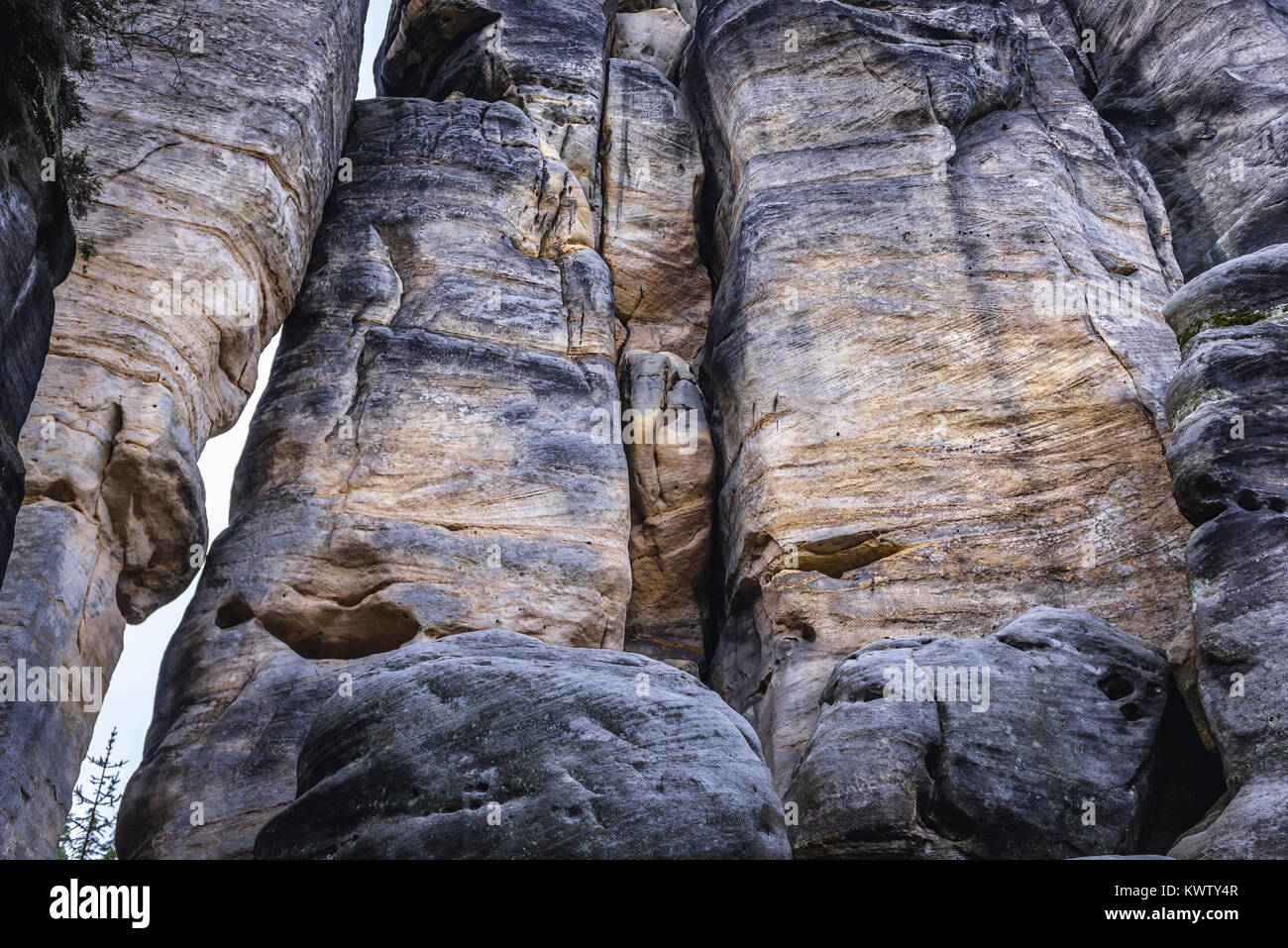 Elephant head shaped rock in National Nature Reserve Adrspach-Teplice ...