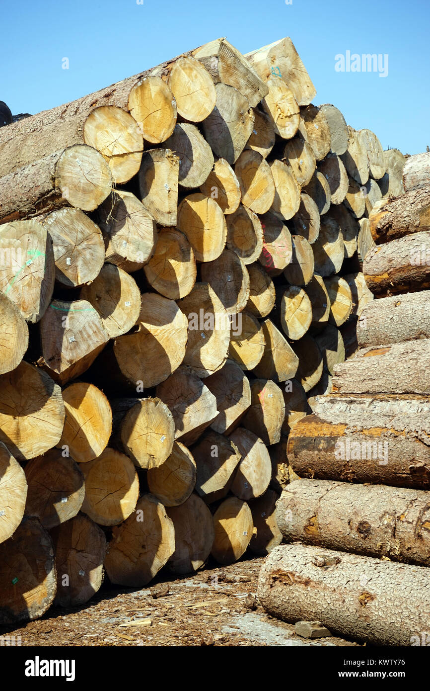 Heap of timber hi-res stock photography and images - Alamy