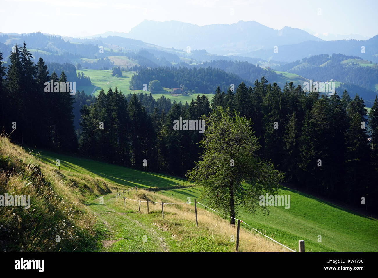 Track on the slope of mount in riral area of Switzerland Stock Photo ...