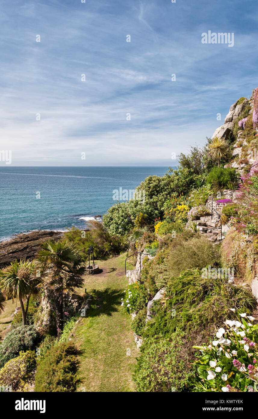 Cornwall coastal plants hi-res stock photography and images - Alamy