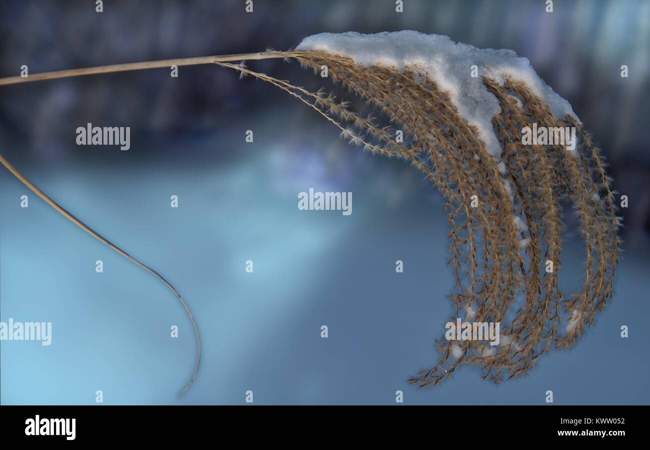 Plume of snow hi-res stock photography and images - Alamy