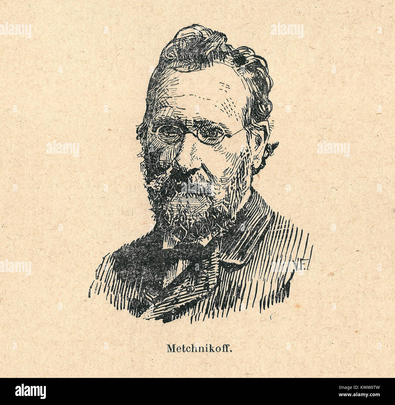 Portrait of Ilya Metchnikoff, Russian biologist and Nobel laureate ...