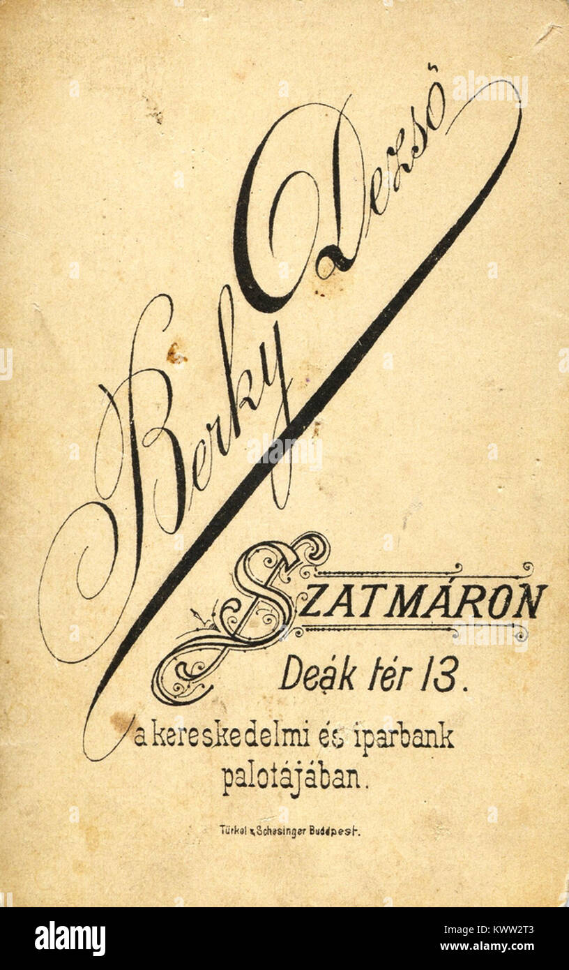 This 1880 photograph shows the photographic studio of Berky Dezső at 13 ...