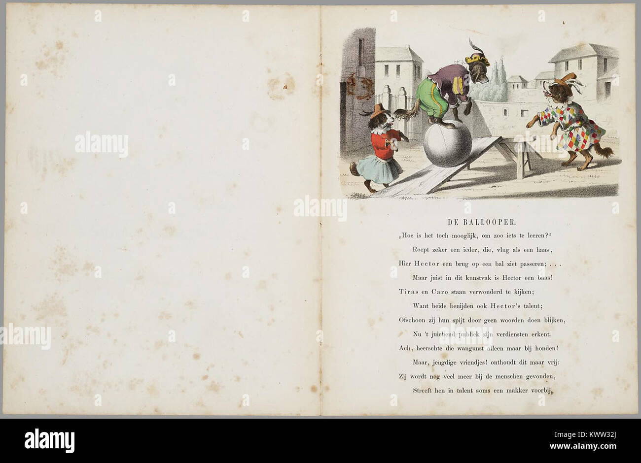 Four legged artists hi-res stock photography and images - Alamy