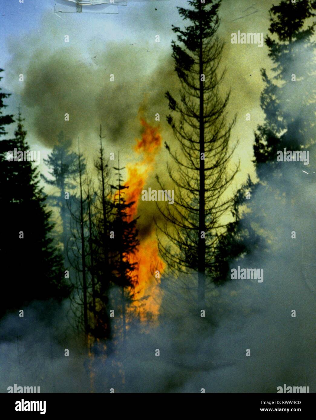 Wild Fire In North America Stock Photo - Alamy