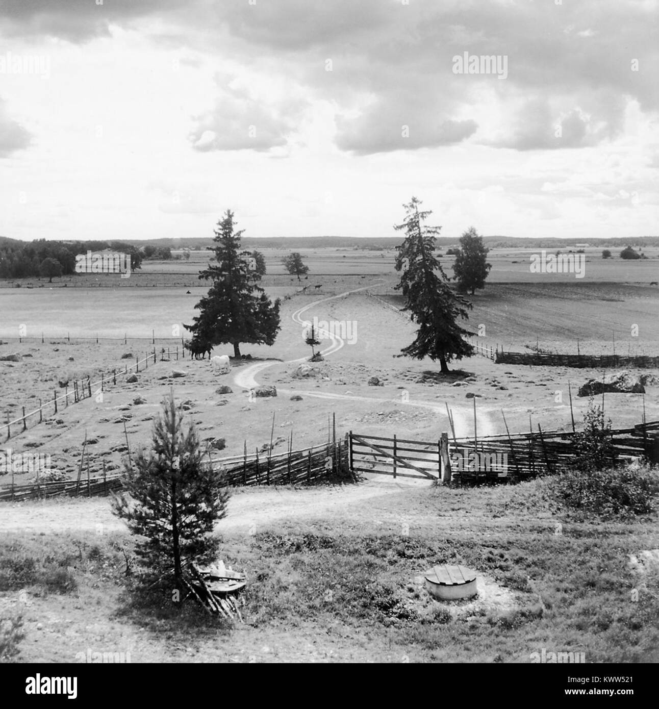 This image captures a scene from Södermanland, Sweden, showcasing the ...