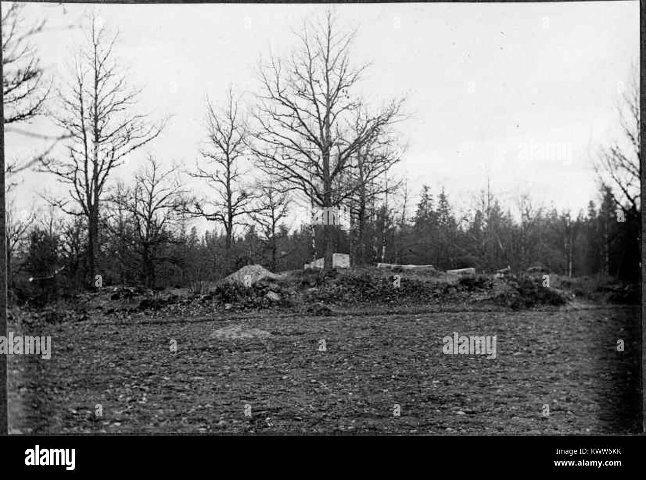 Pest outbreaks Black and White Stock Photos & Images - Alamy