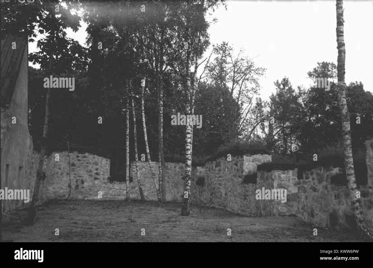 The ruins of Älmeboda Church in Sweden, recorded by the Swedish ...