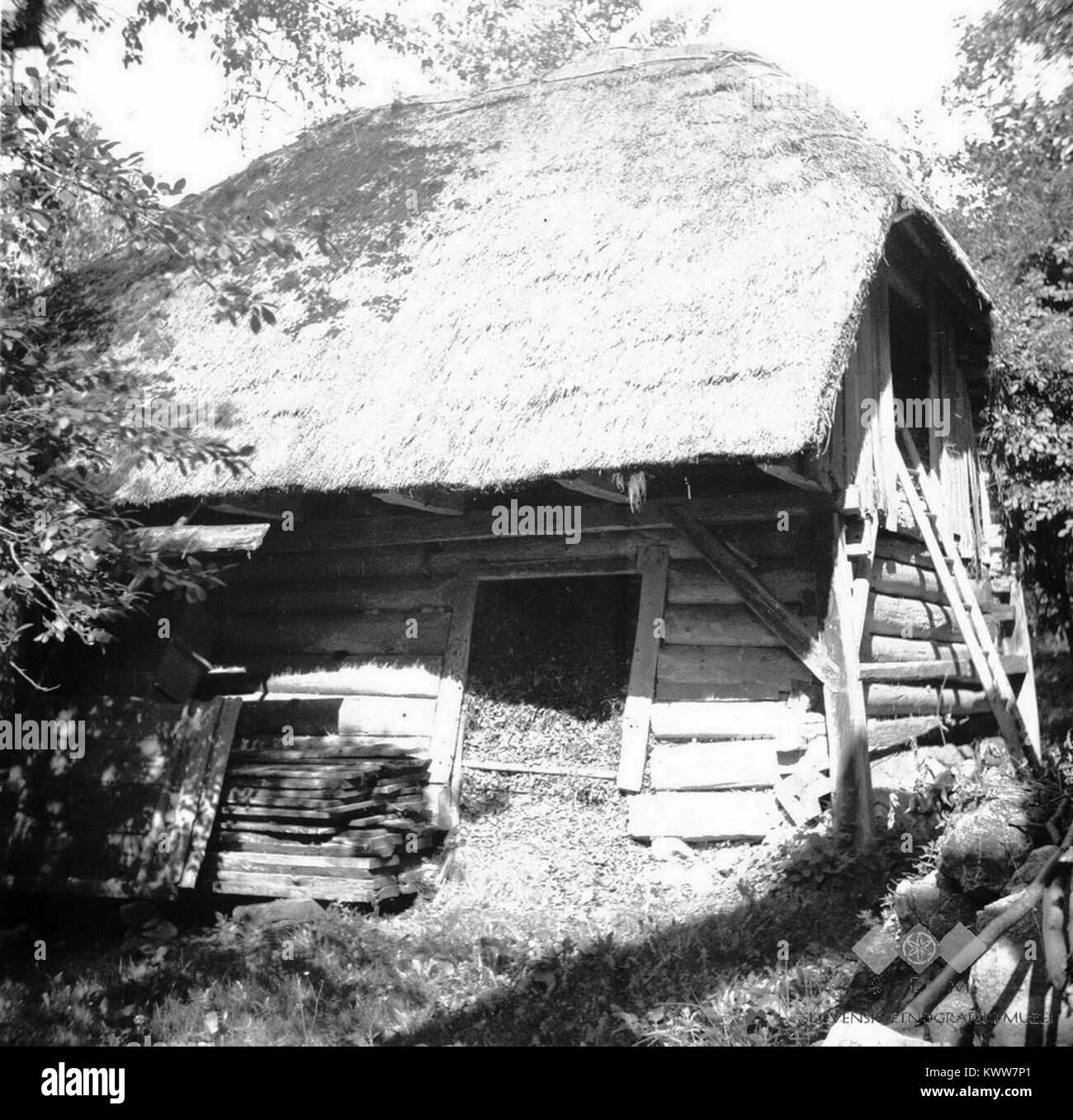 A photograph of a decaying barn in Male Lipljene, taken in 1948. The ...