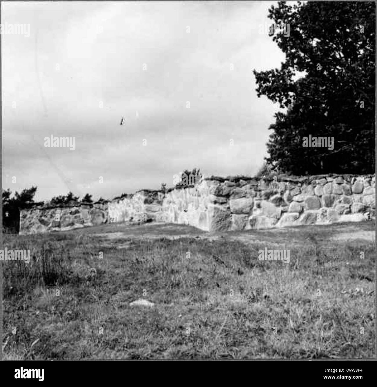 This image shows the ruins of the Åker and Ärja churches in Sweden, as ...