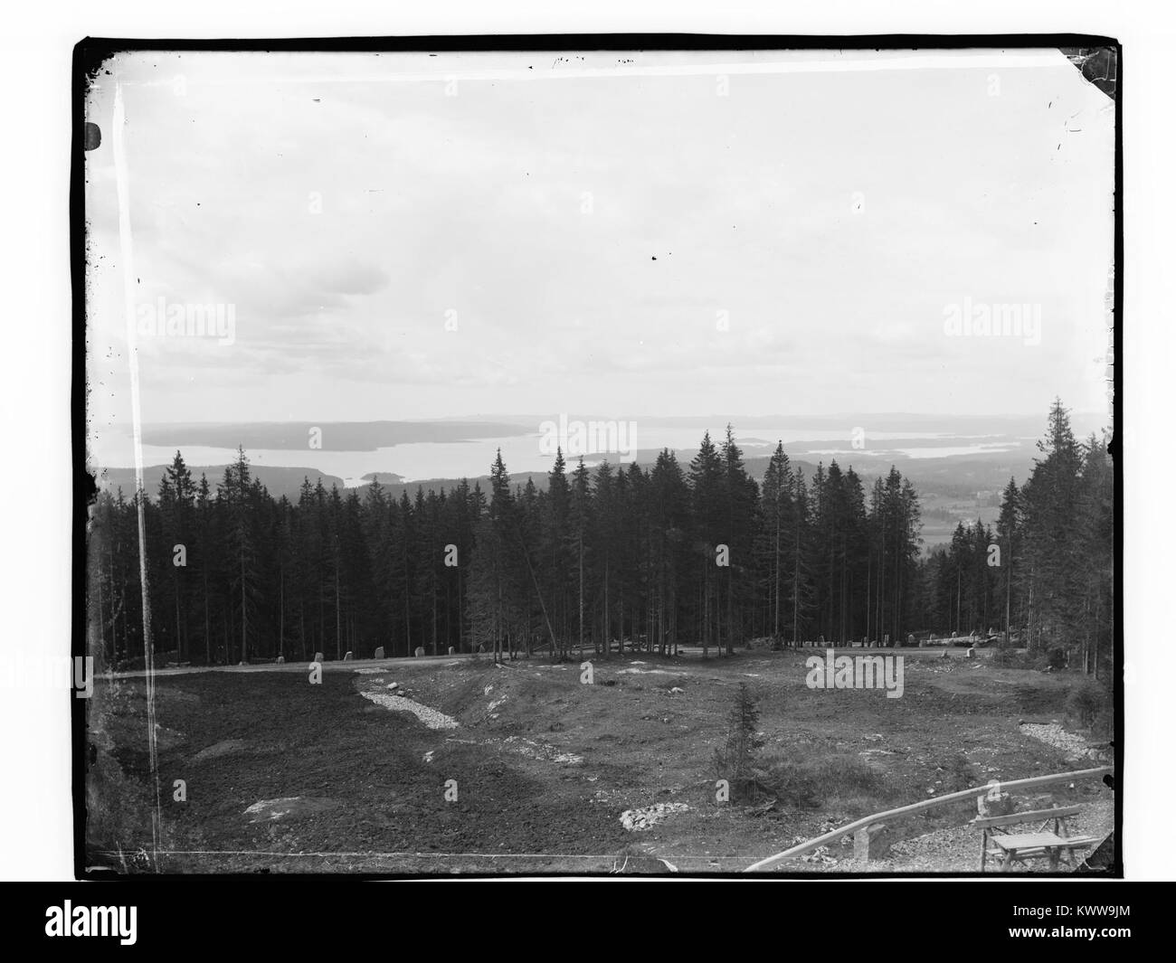 Skog skogen hi-res stock photography and images - Alamy