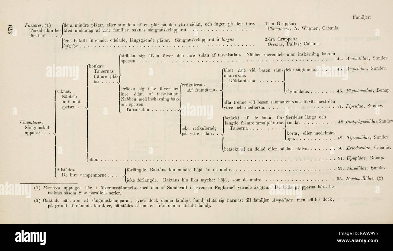 A scientific document titled 'Rsskrift,' offering detailed research and ...