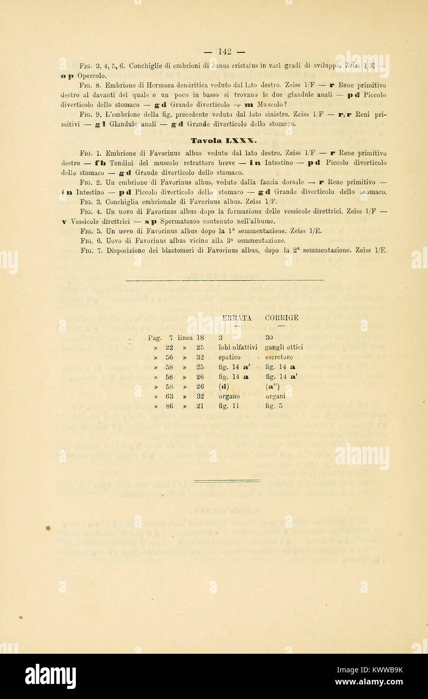 Document study focuses on hi-res stock photography and images - Alamy