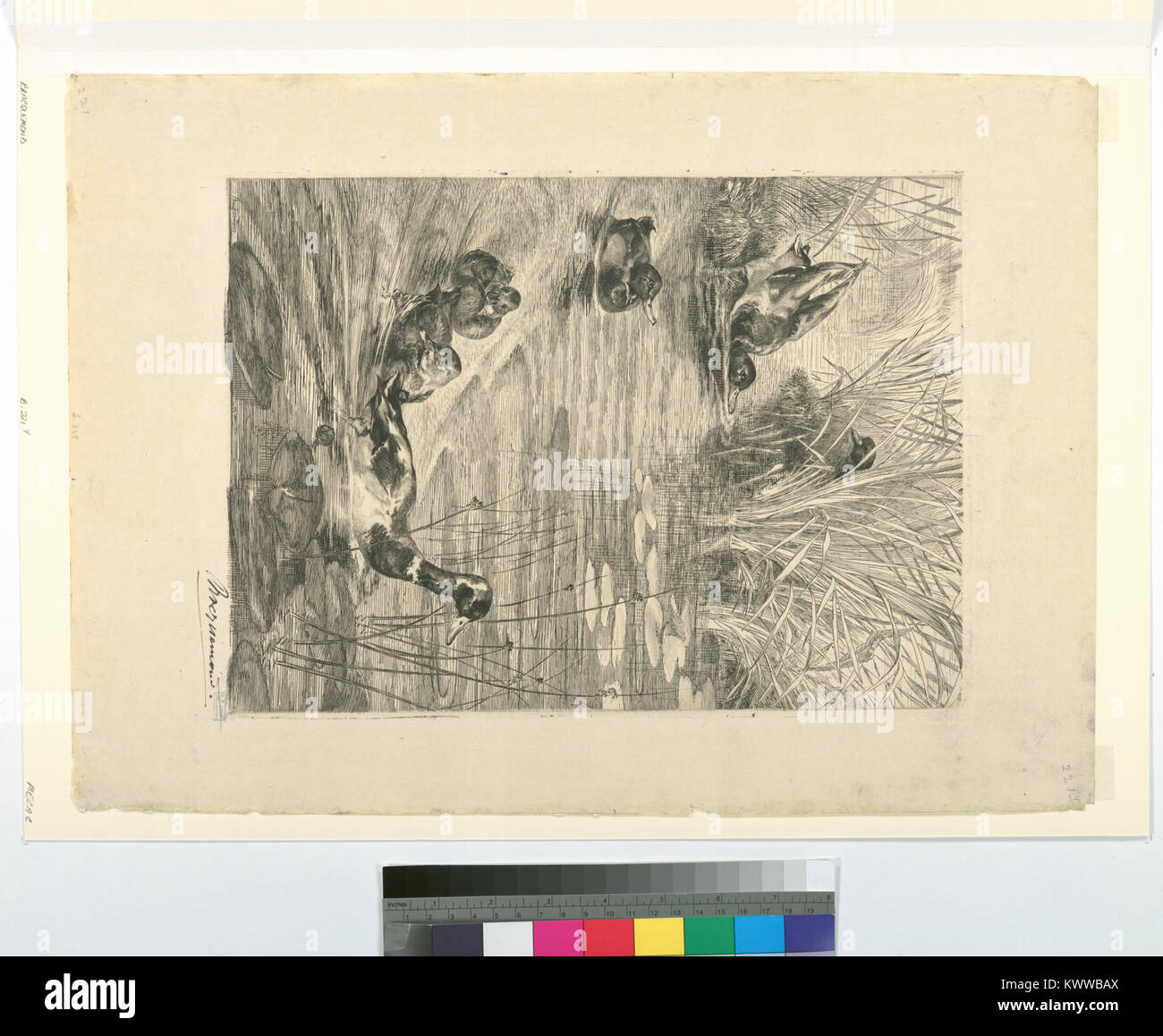 An illustration from the New York Public Library collection depicting ...