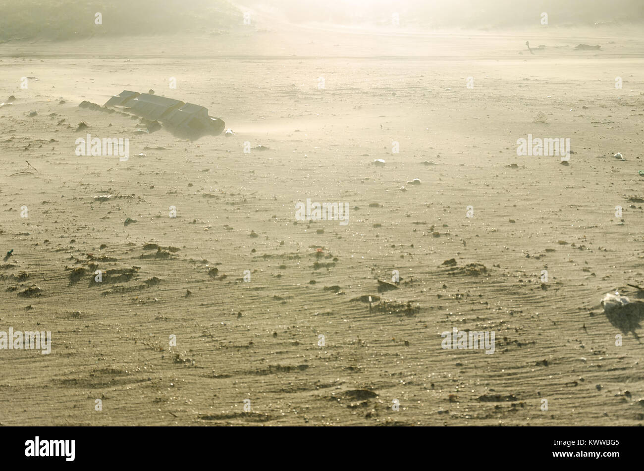 Crazy alien landscape beach terrain that look like a other planet Stock ...