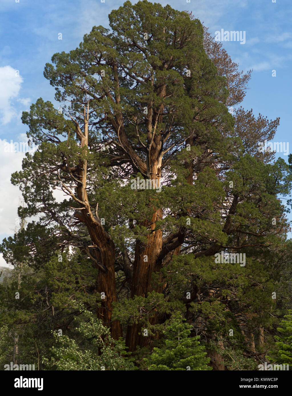 Marvel camera hi-res stock photography and images - Alamy