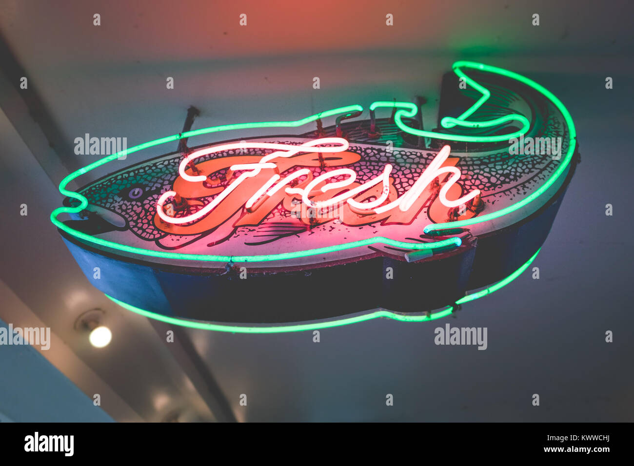 Neon Fish Sign Stock Photo - Alamy
