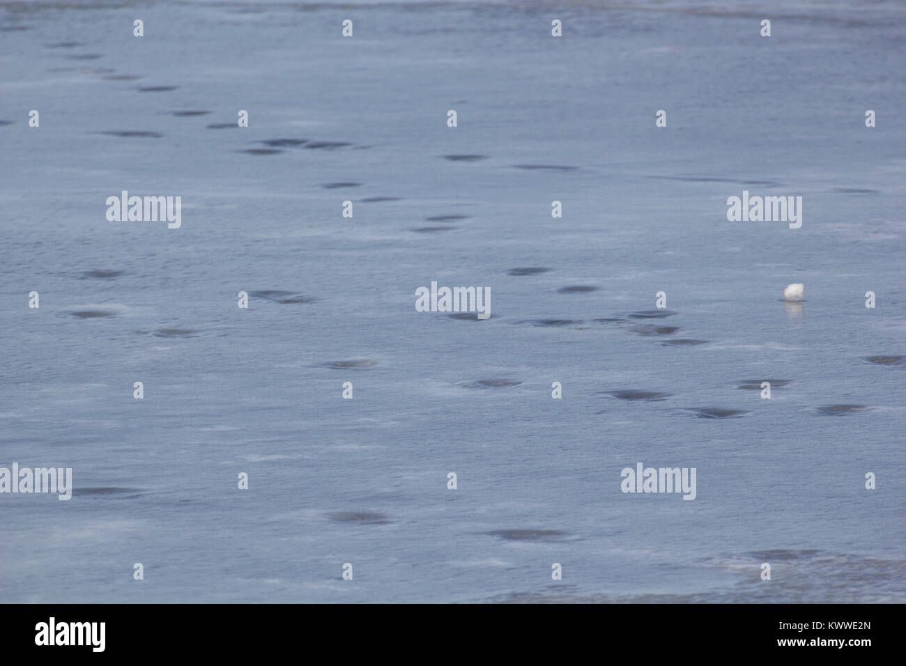 Frozen over pond Stock Photo - Alamy