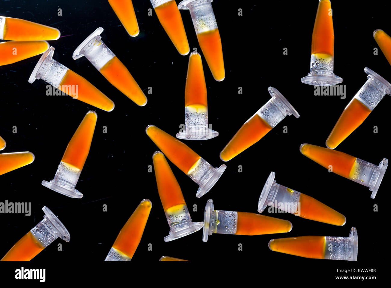 Background of the PCR tubes PCR Tubes on black background Stock Photo ...