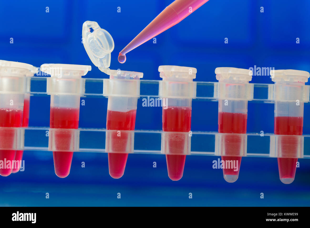 Laboratory of polymer chemistry Stock Photo - Alamy