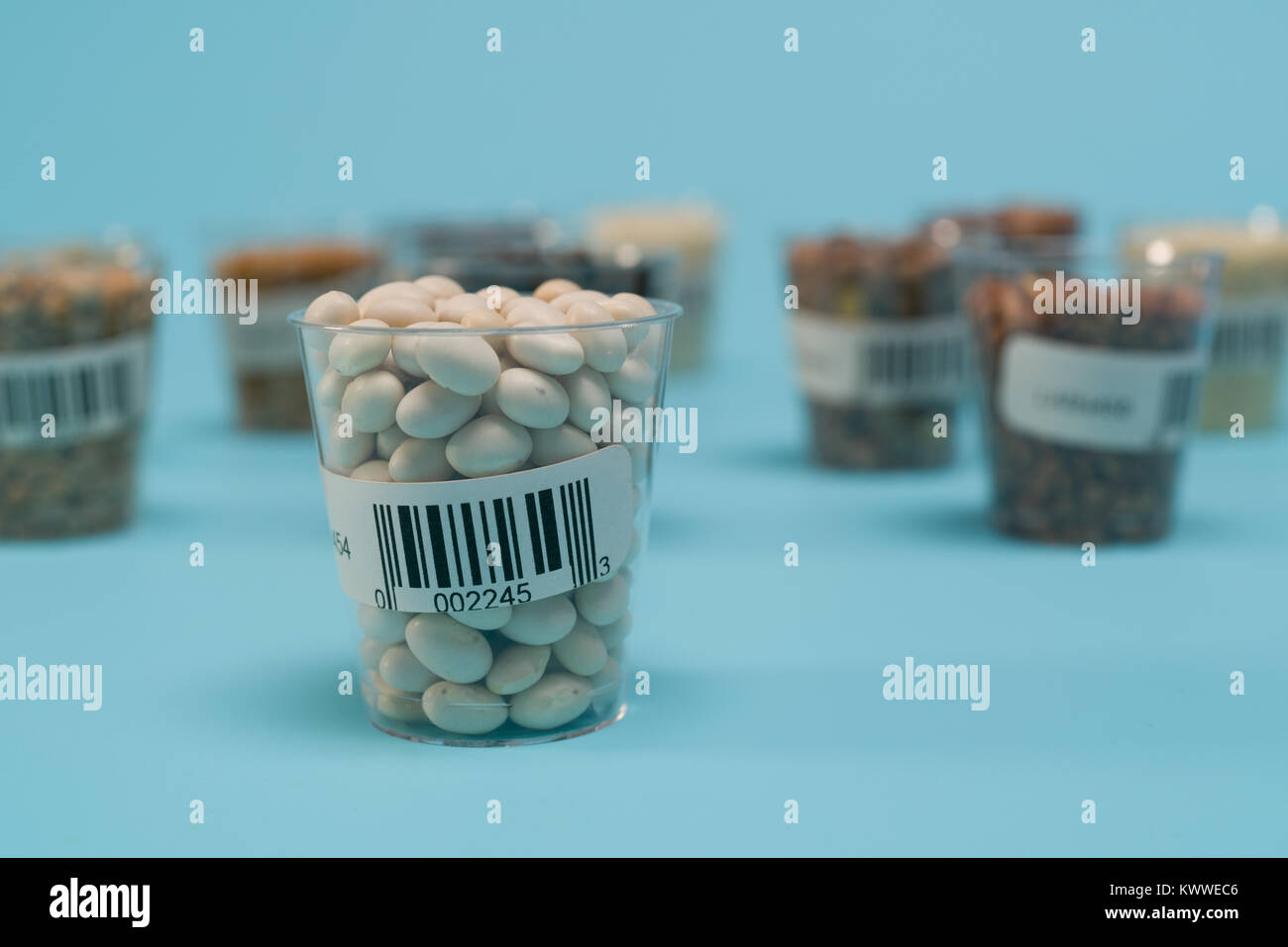 seeds of agricultural plants in test tube with barcodes in the ...
