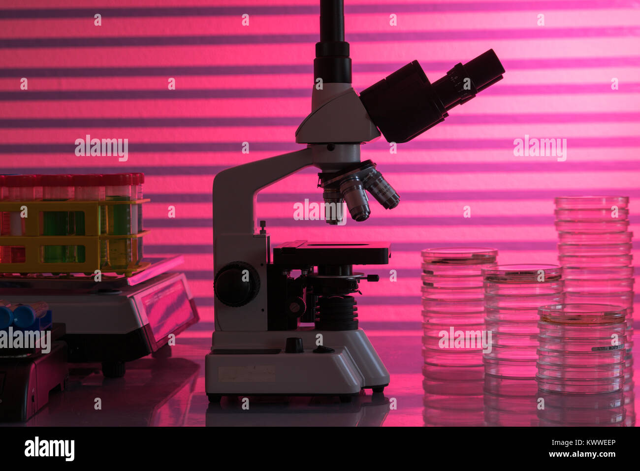 microscope in the laboratory Stock Photo - Alamy