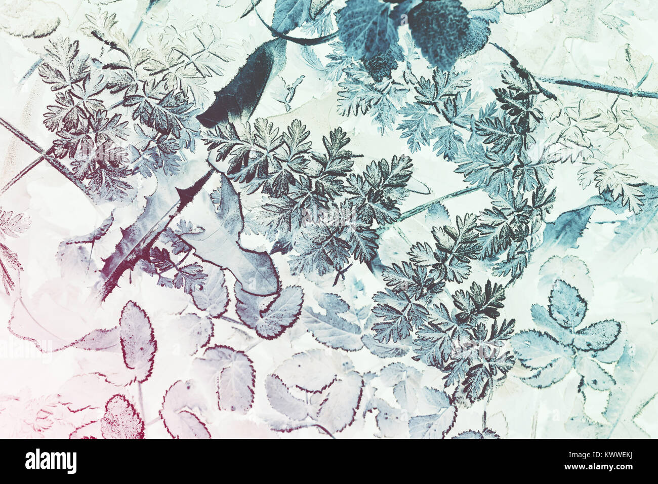 Floral ornamental background, colorful stylized photo pattern Stock ...