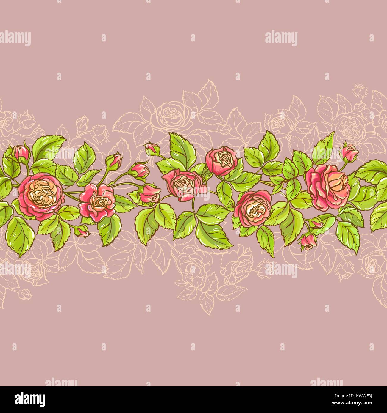 rose horisontal vector pattern on color background Stock Vector Image ...