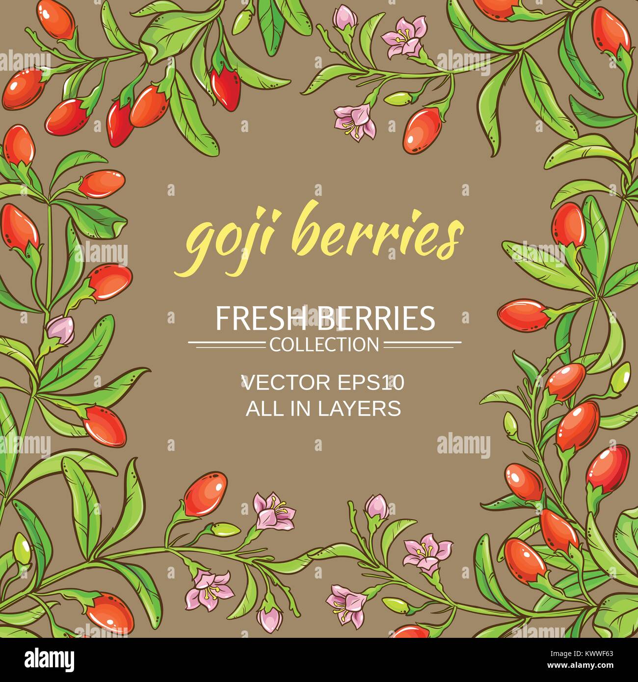 Goji frame vector vectors hi-res stock photography and images - Alamy