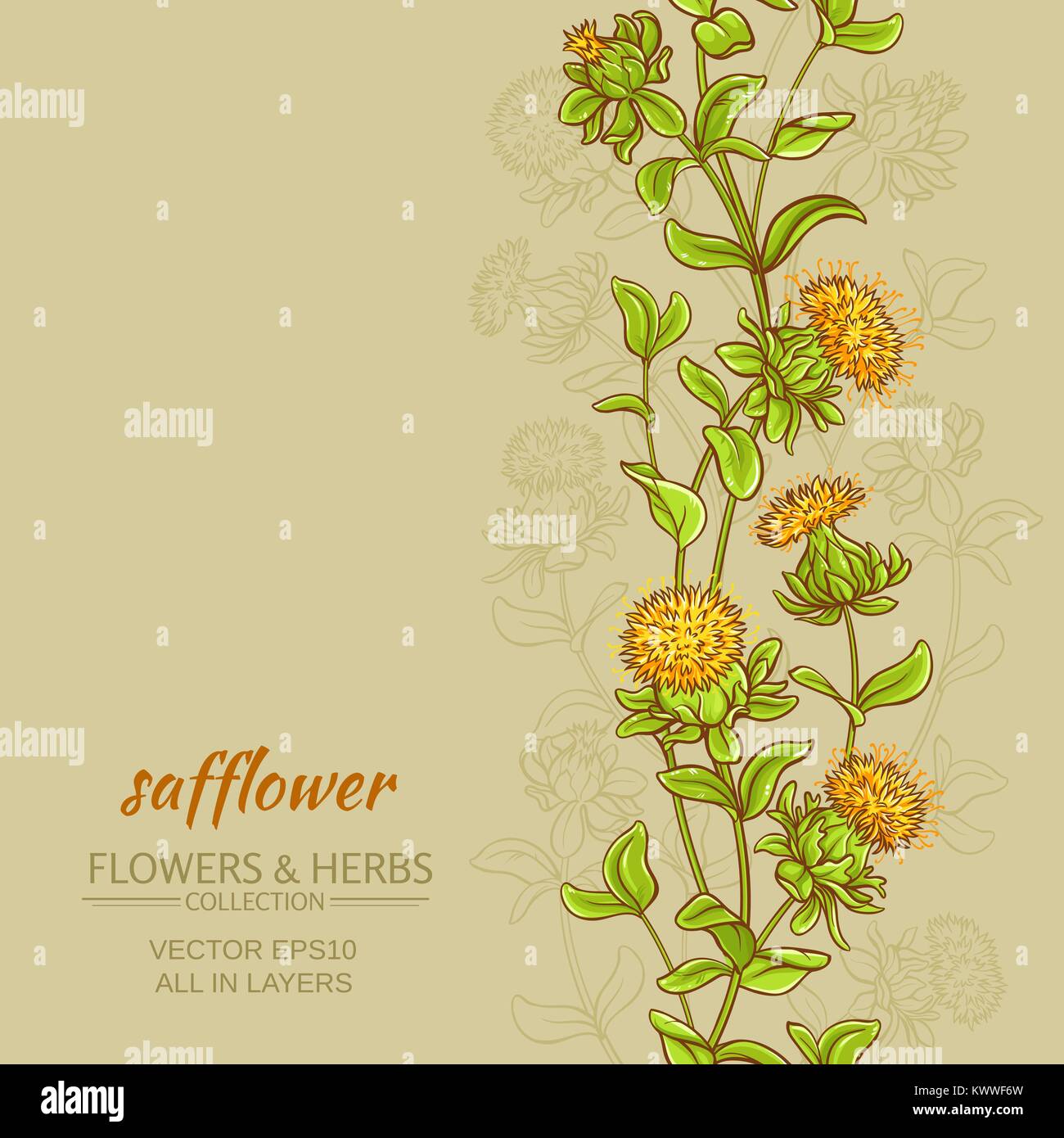 safflower plant vector pattern on color background Stock Vector Image ...