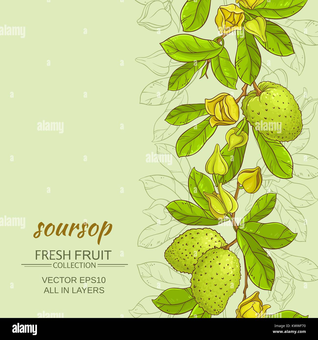 Soursop fruit Stock Vector Images - Alamy