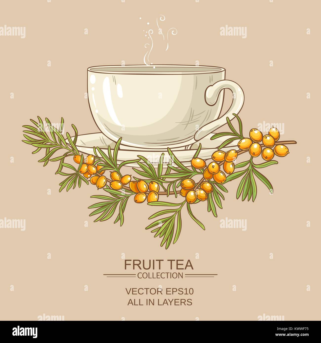 Organic tea sea buckthorn Stock Vector Images - Alamy