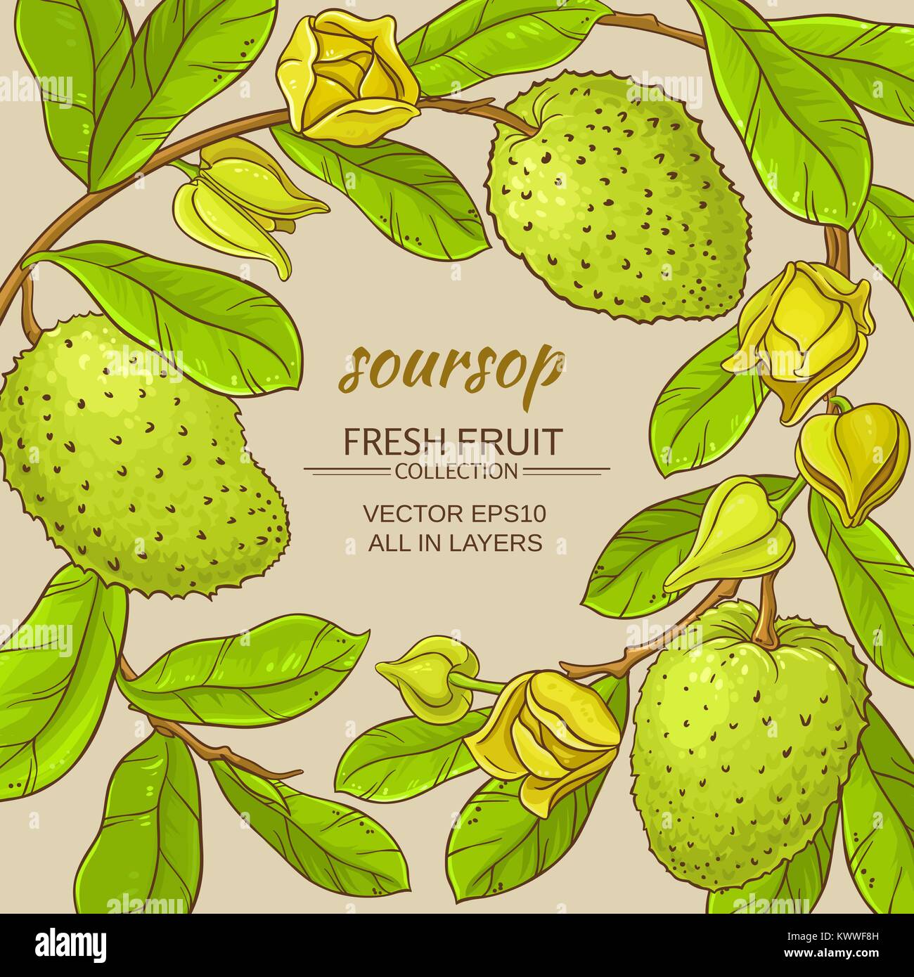 soursop branches vector frame on color background Stock Vector Image ...