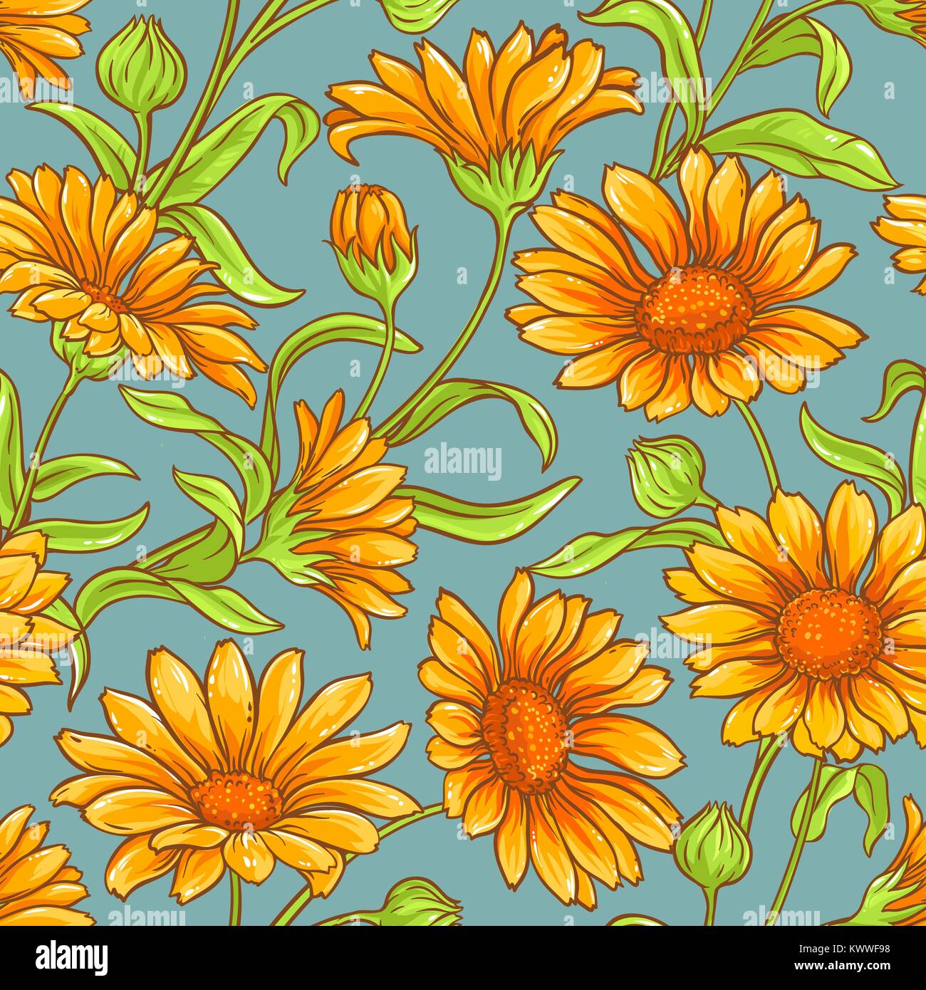 calendula flowers vector color seamless pattern on color background Stock Vector Image & Art - Alamy