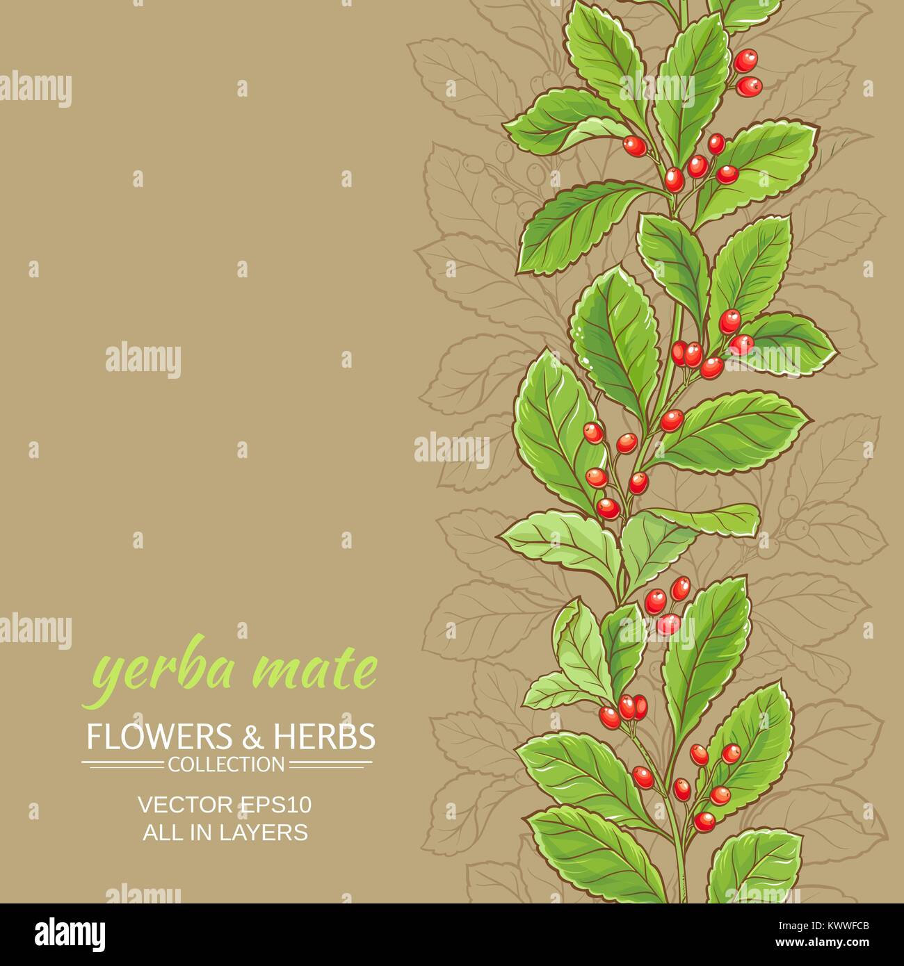 yerba mate vector pattern on color background Stock Vector Image & Art ...