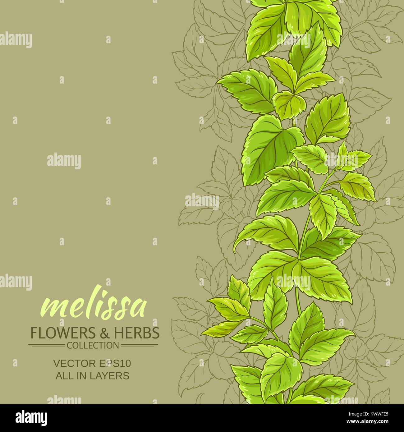 Melissa vector vectors Stock Vector Images - Alamy