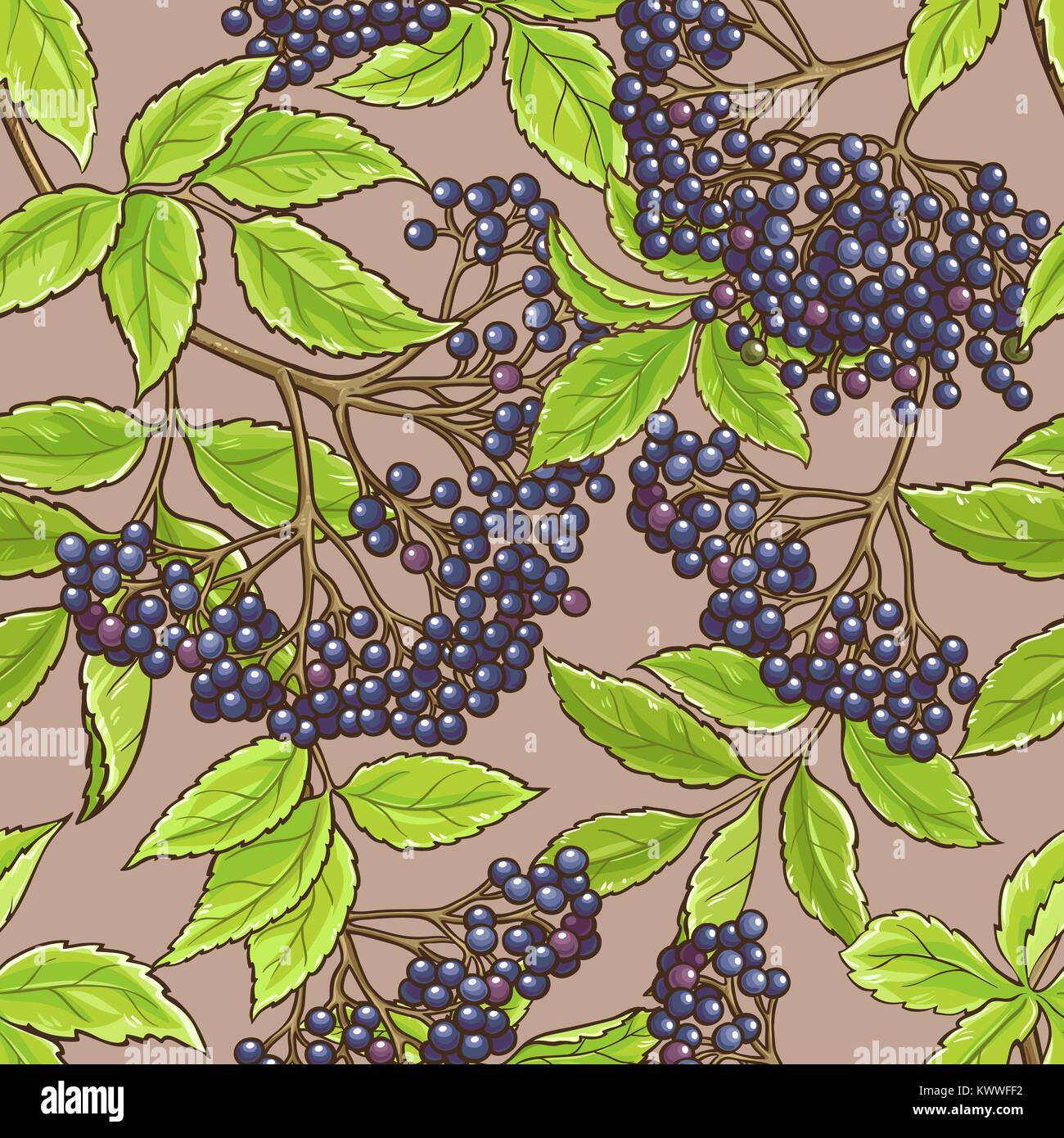 elderberry vector seamless pattern on color background Stock Vector ...