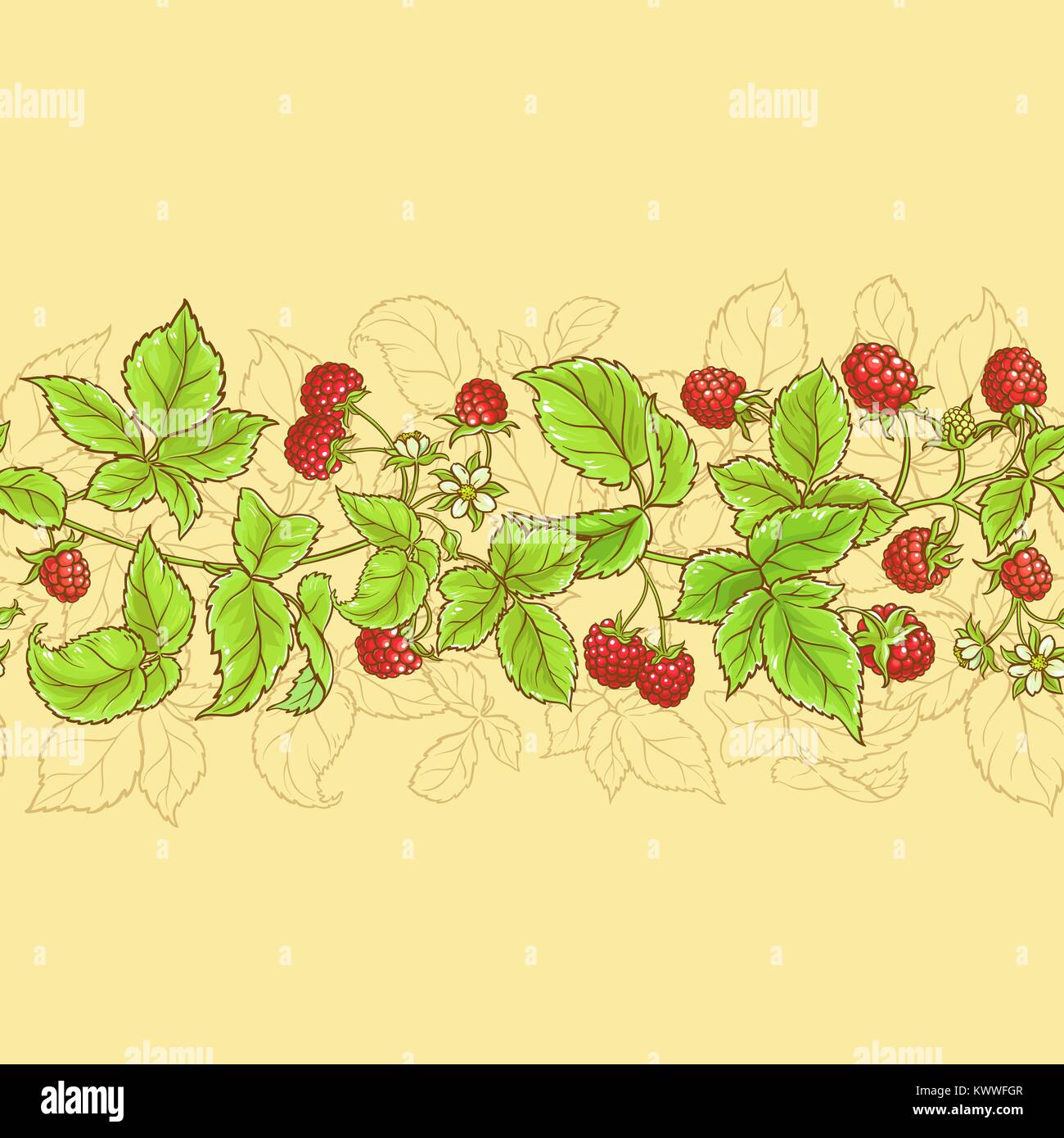 Raspberry vector hi-res stock photography and images - Alamy