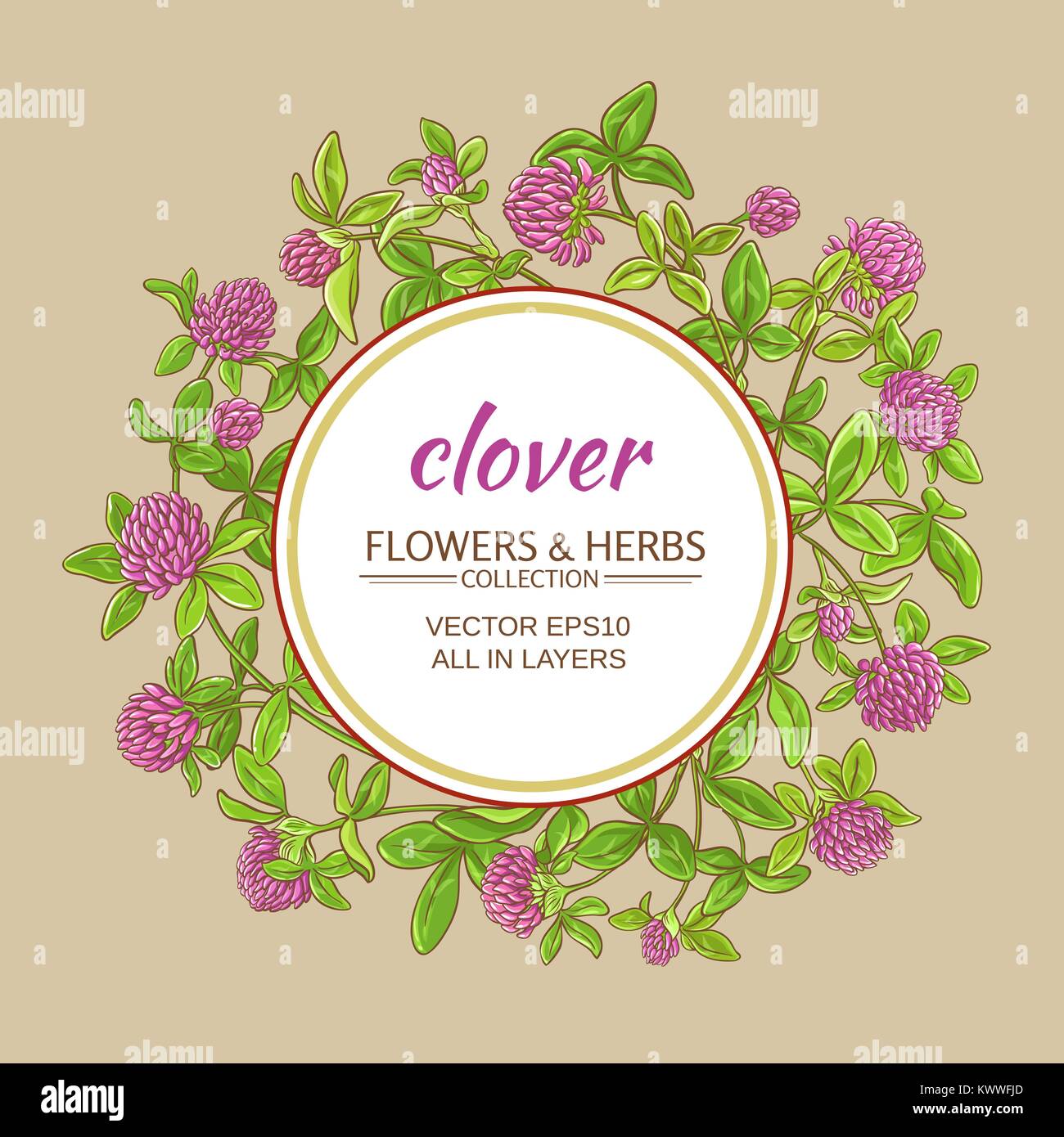 clover plant vector frame on color background Stock Vector Image & Art ...