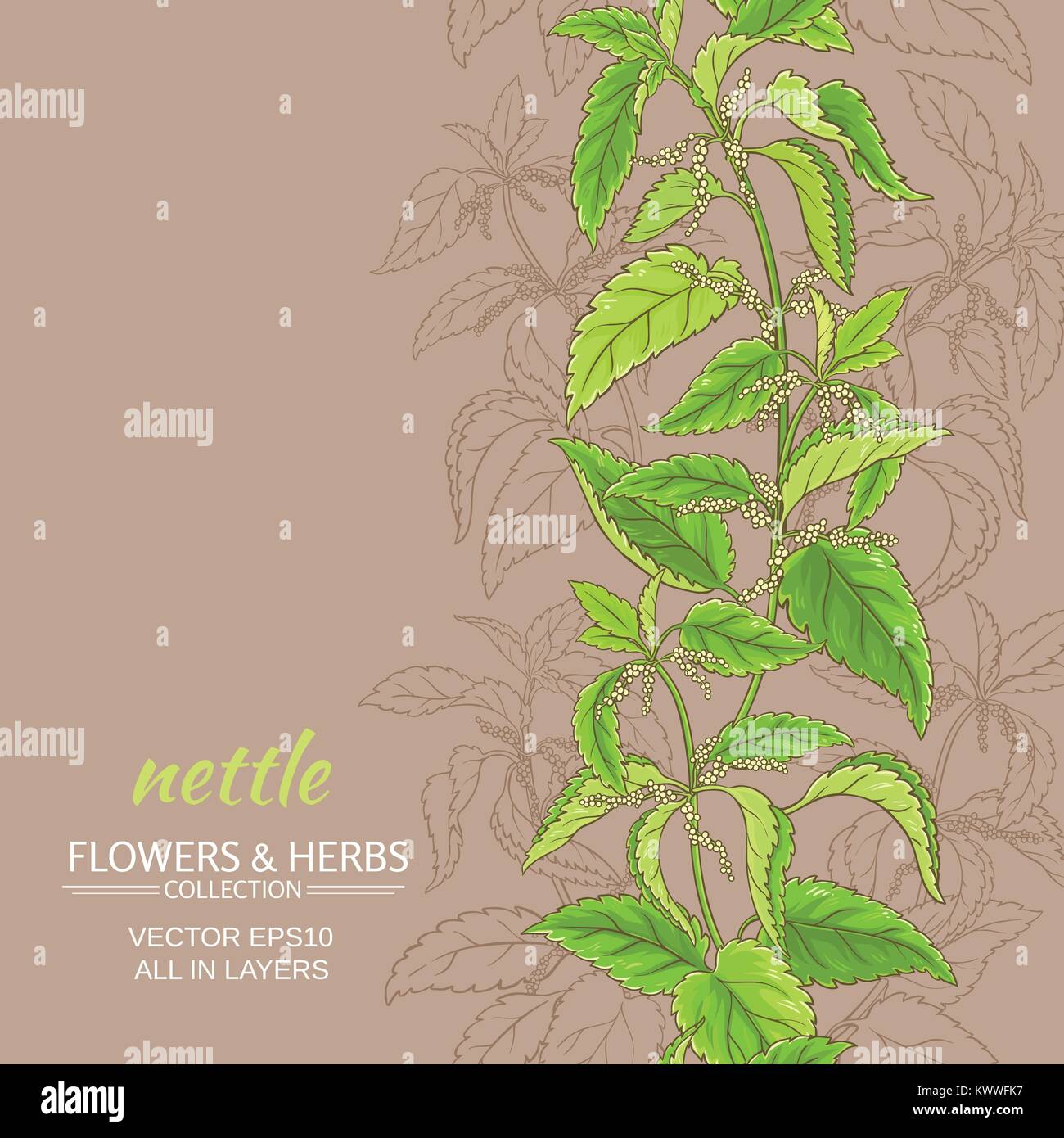 nettle vector vertical pattern on color background Stock Vector Image ...