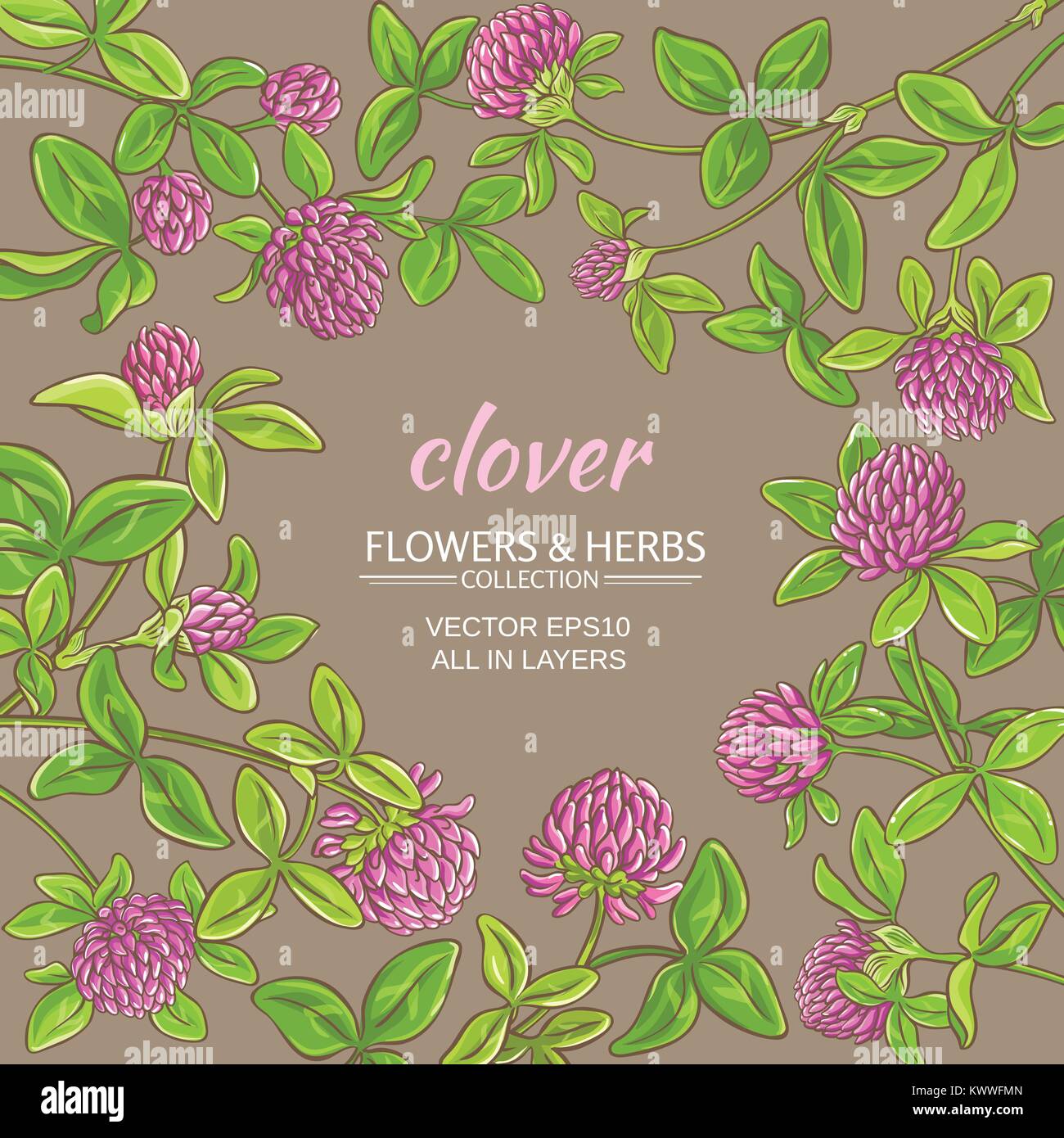 clover flowers vector frame on color background Stock Vector Image ...