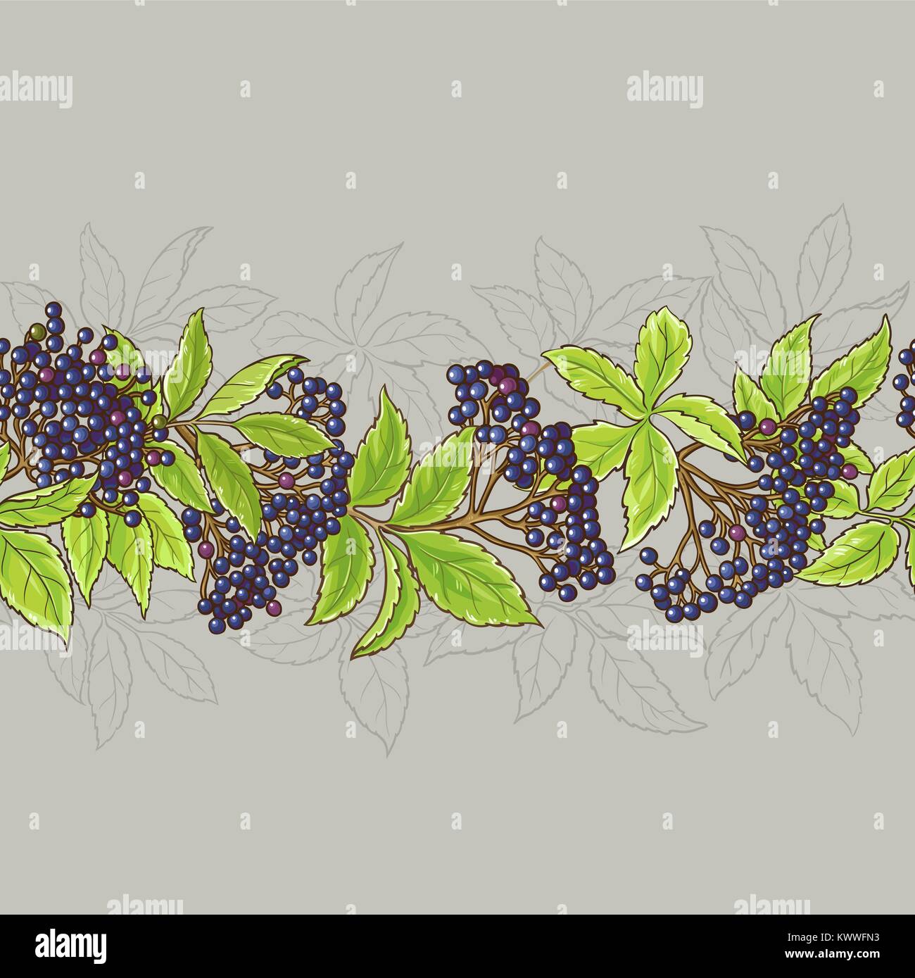 elderberry branches seamless pattern on color background Stock Vector ...