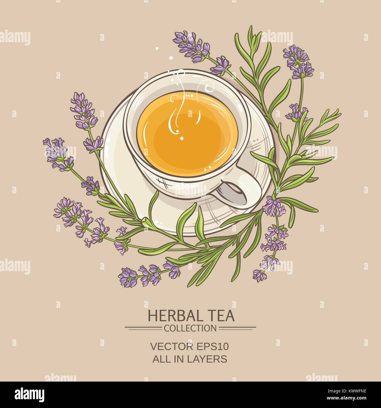 Lavender tea Stock Vector Images - Alamy