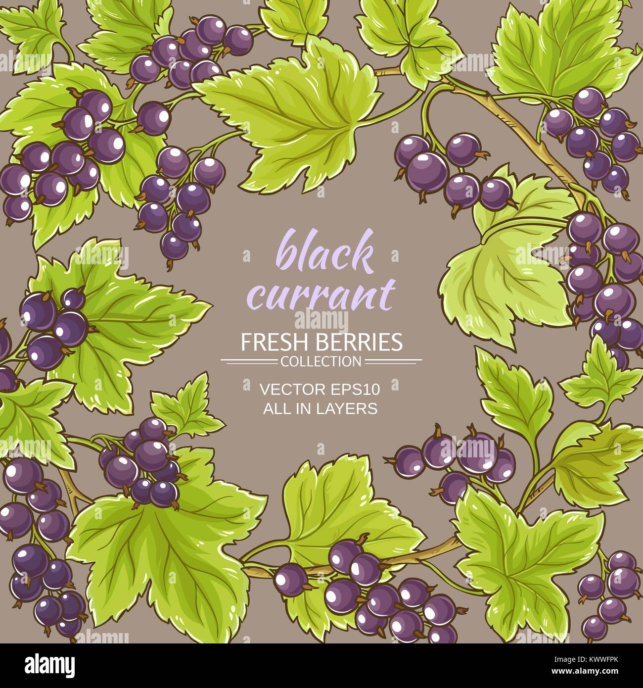 black currant vector frame on color background Stock Vector Image & Art ...