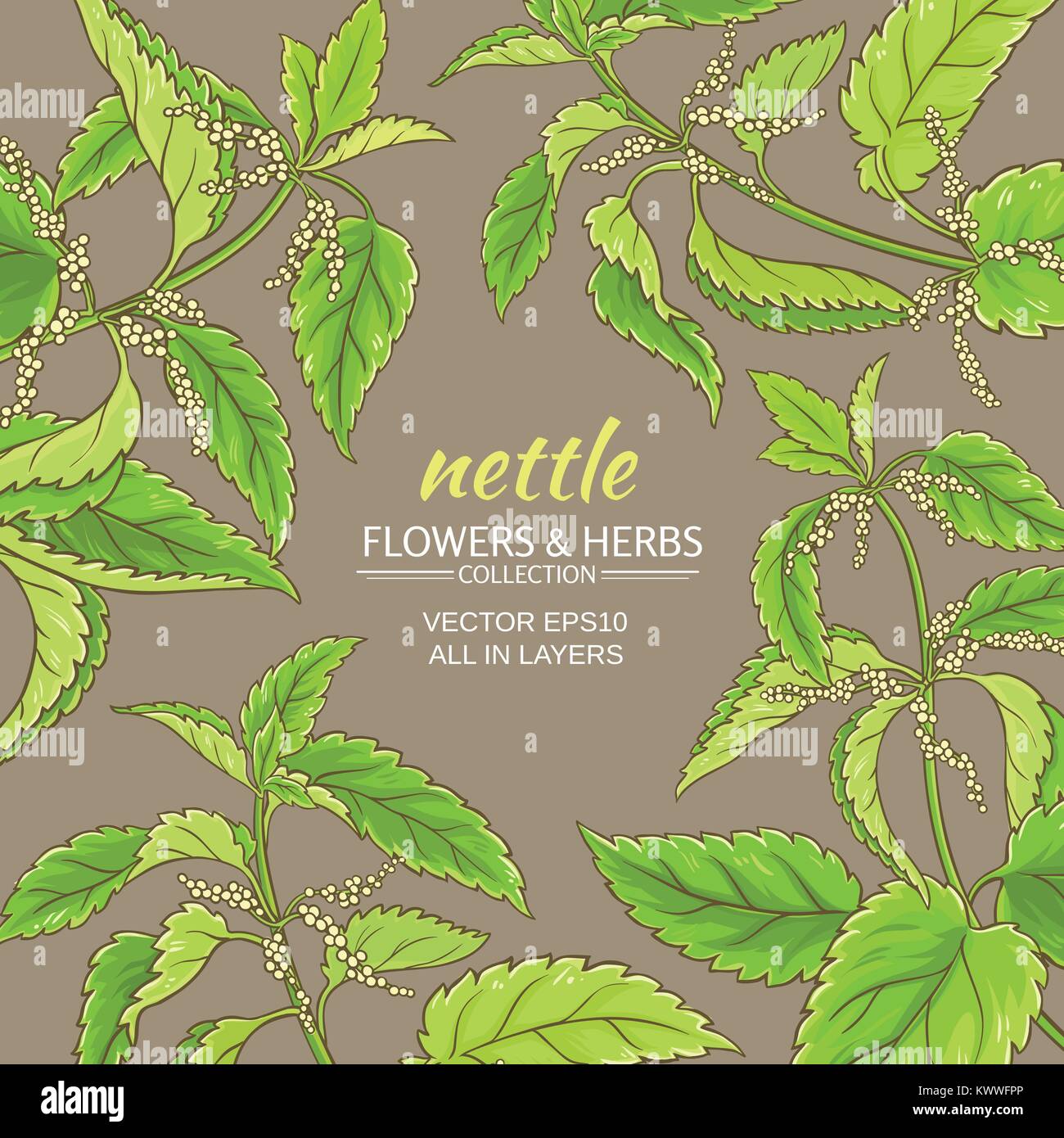 nettle branches vector frame on color background Stock Vector Image ...