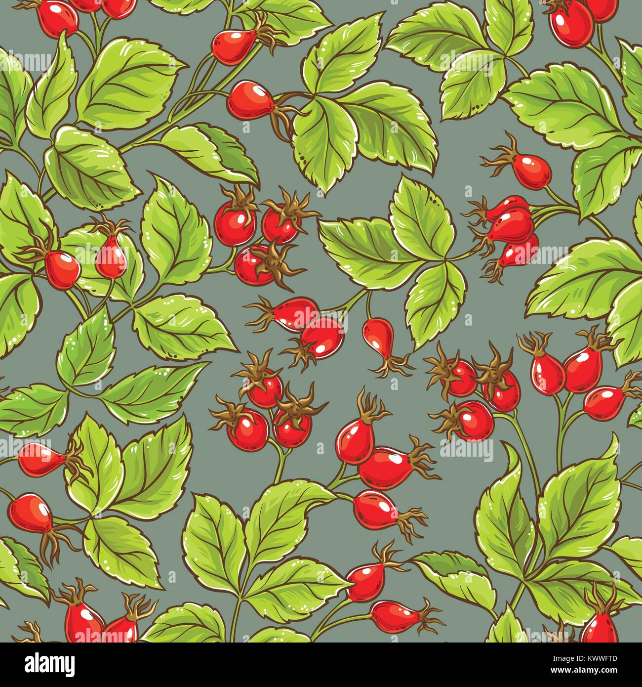 wild rose vector pattern on color background Stock Vector Image & Art ...