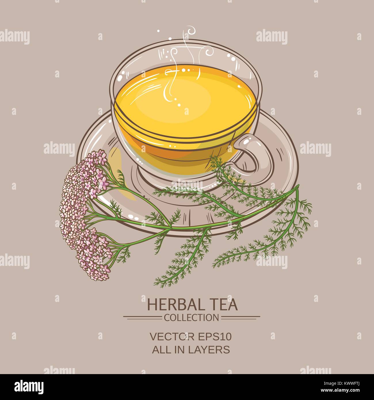 Tea medicinal Stock Vector Images - Alamy