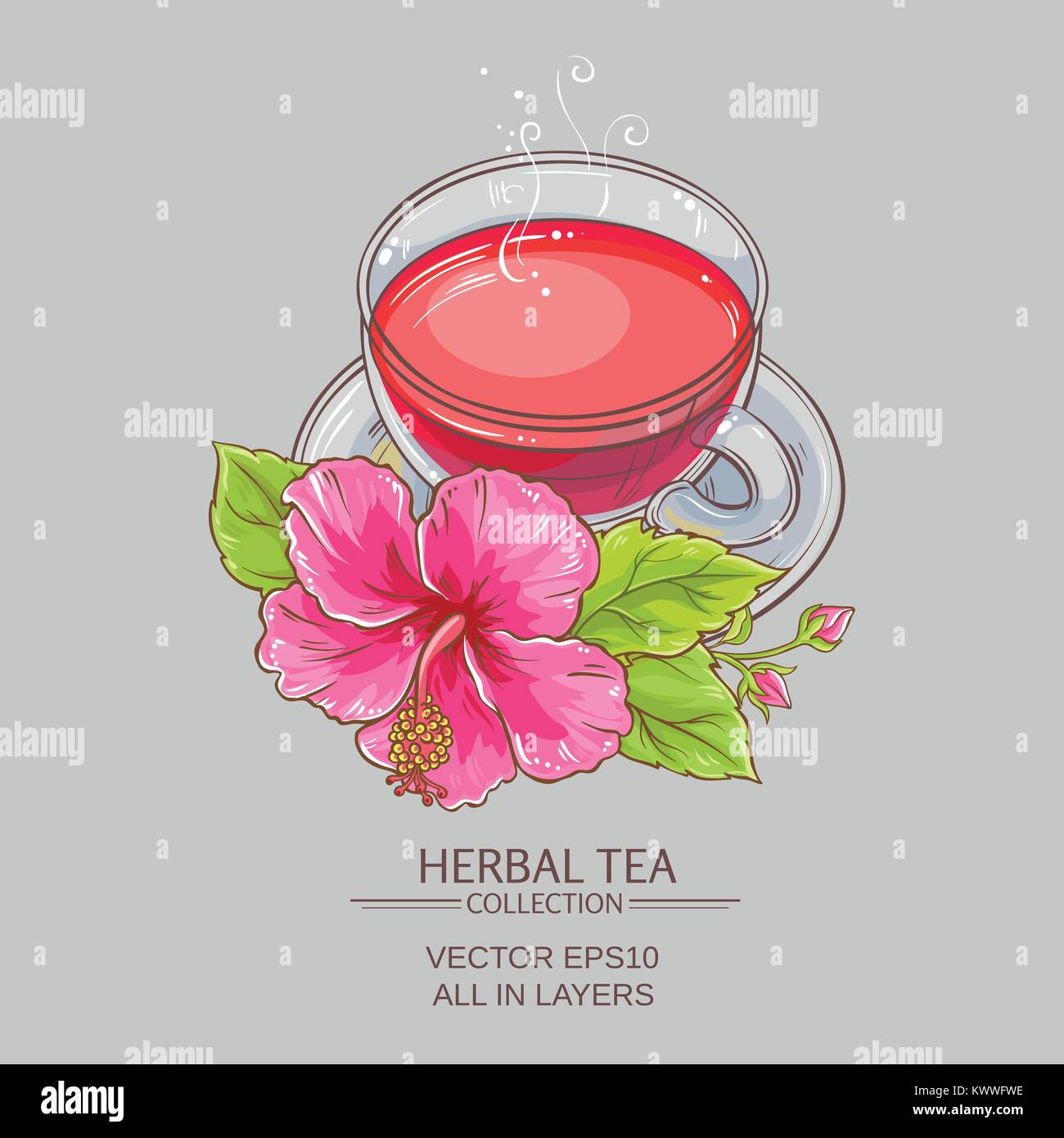 Hibiscus tea flower Stock Vector Images - Alamy